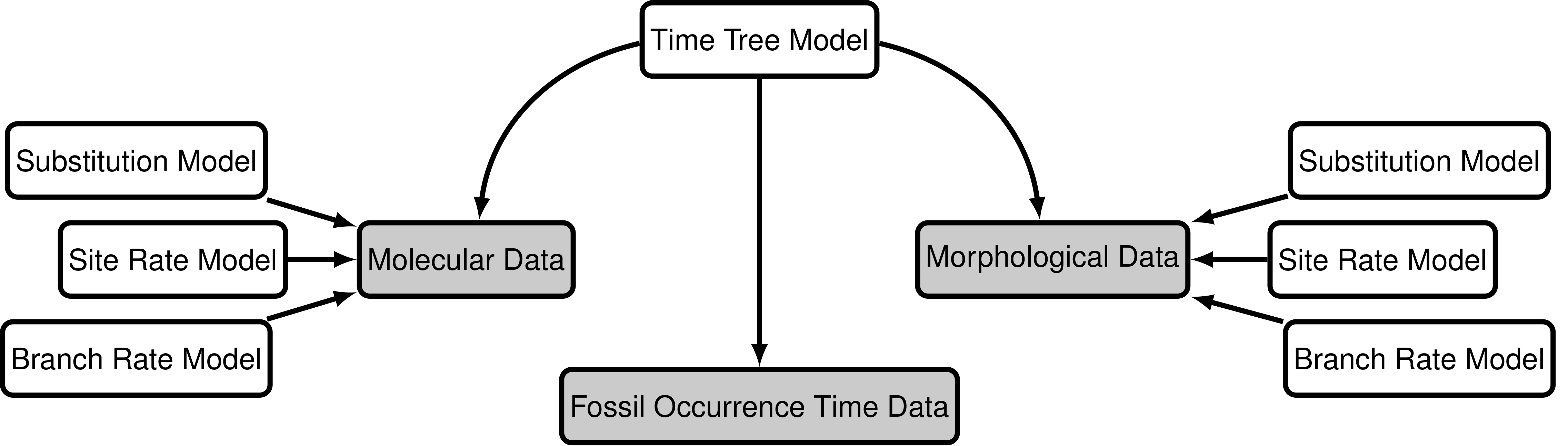 RevBayes Total Evidence Tree Estimation • apb2019